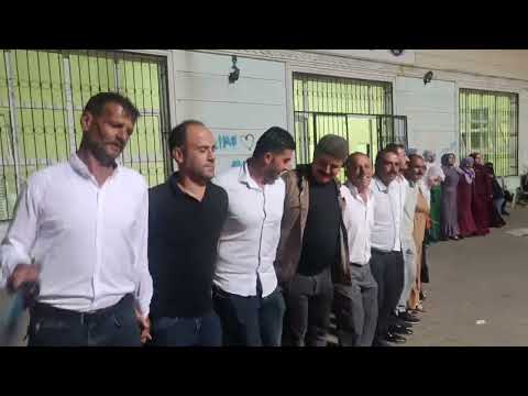 Batman Sason düğünü müthiş şewko halayı