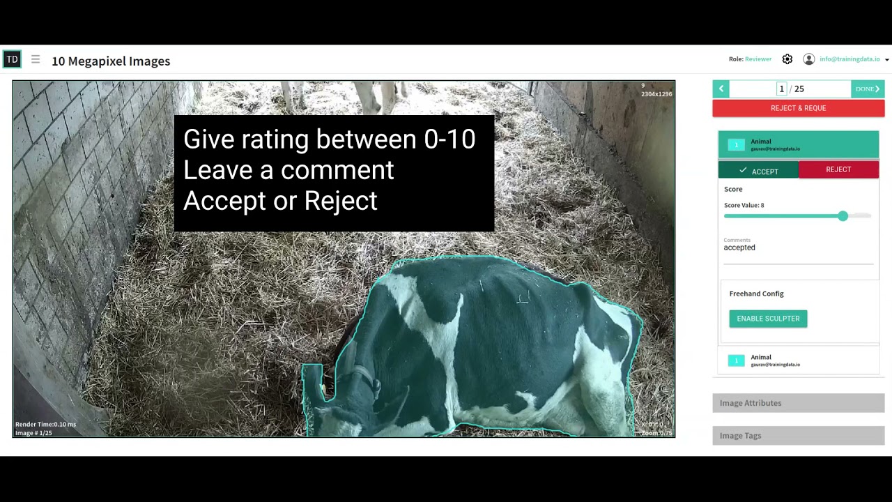 TrainingData.io: Review System - YouTube