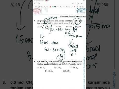 10.sınıf güncel meb kazanım kavrama testi 7 2024 DETAYLI ANLATIM