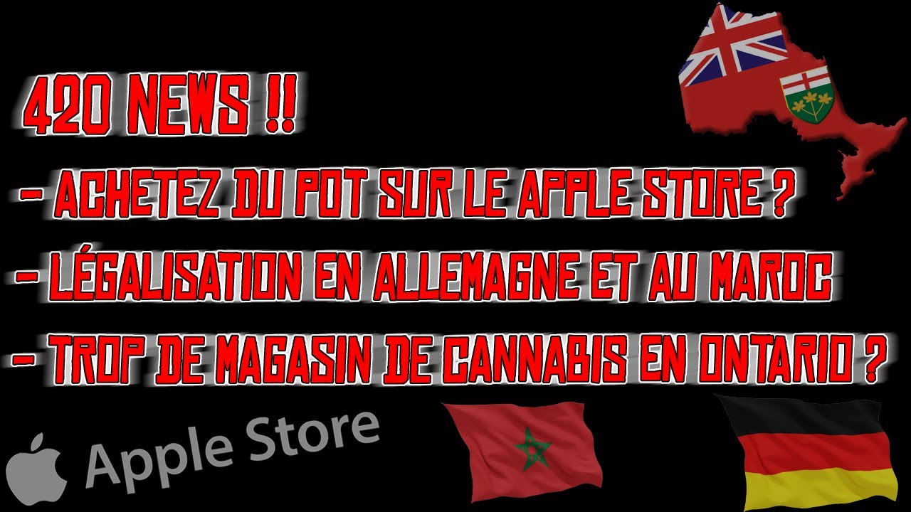 420 news GROSSE ANNONCE POUR LA CHAÎNE !! + L'actualité du cannabis ici ...