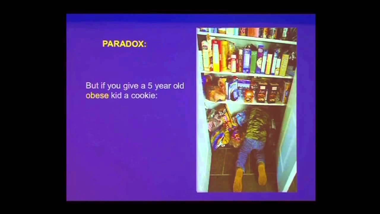 How Leptin Regulates Fat Storage and Causes Glutiny - YouTube