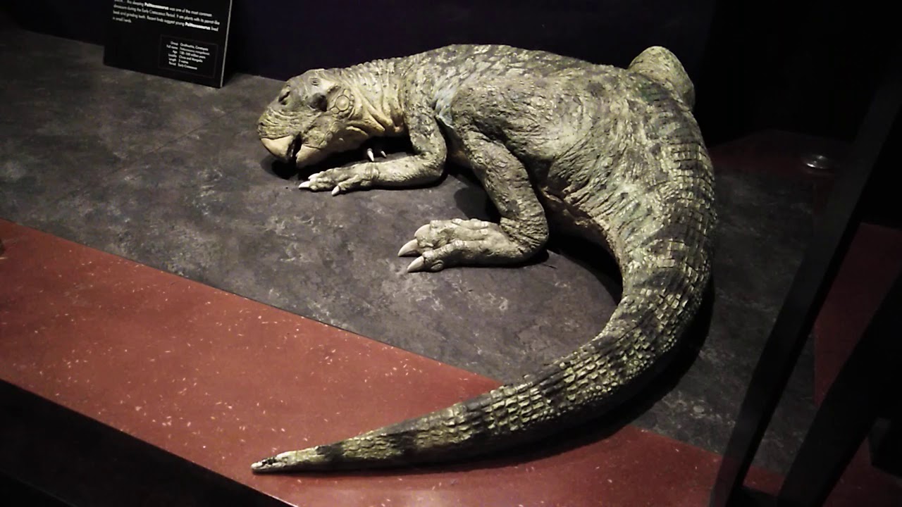 Sleeping beauty Dinosaur 😴🦕 - YouTube