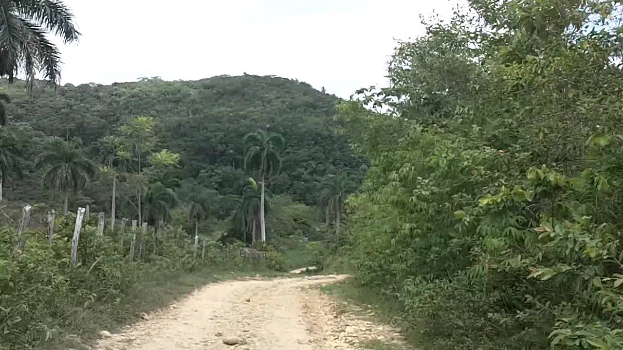 Camino para el rio - YouTube