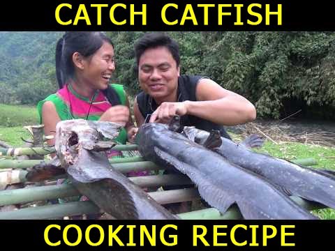 Eating Delicious! Primitive Cooking Catfish Recipe, Catfish Catch ...