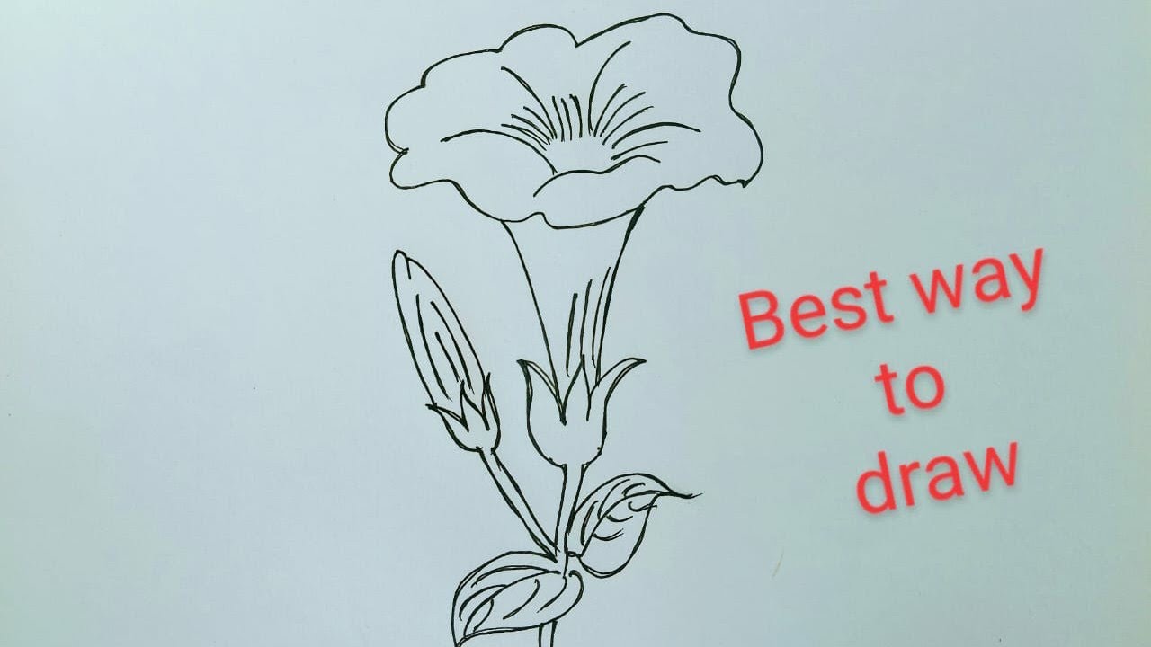 How to draw kaner flower easily/ kaner ka phool #drawing ...