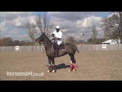 How to play polo: how to hit a near side forehand shot - YouTube