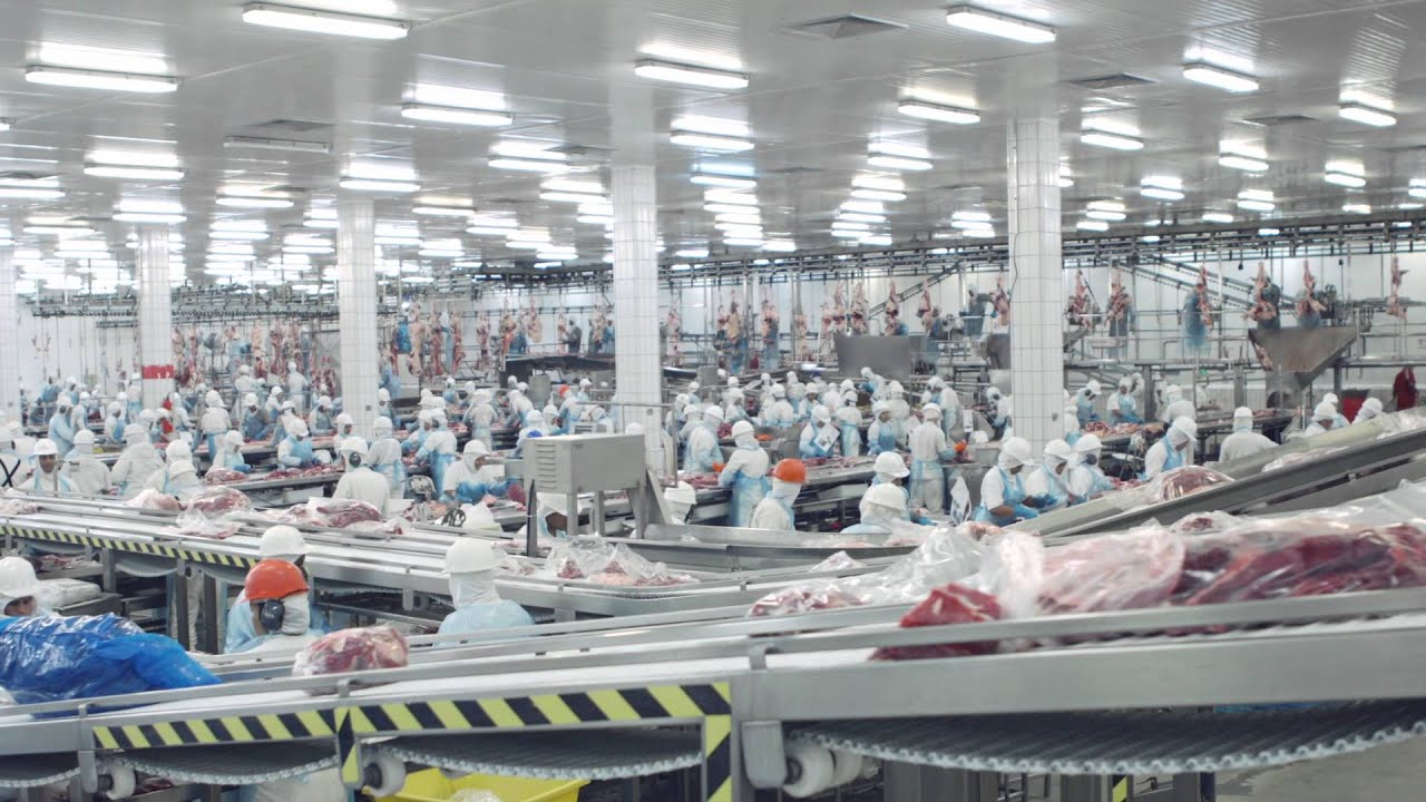 Friboi - Visita Rodrigo Faro - YouTube