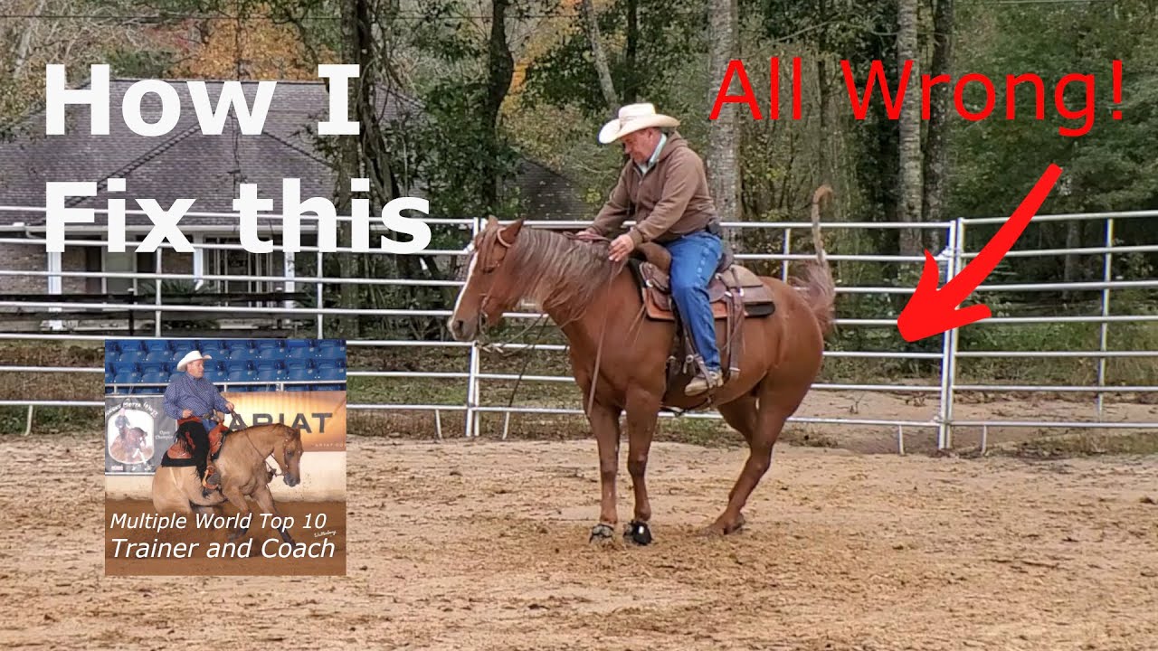 Advanced Techniques for a Flawless Horse Spin - YouTube