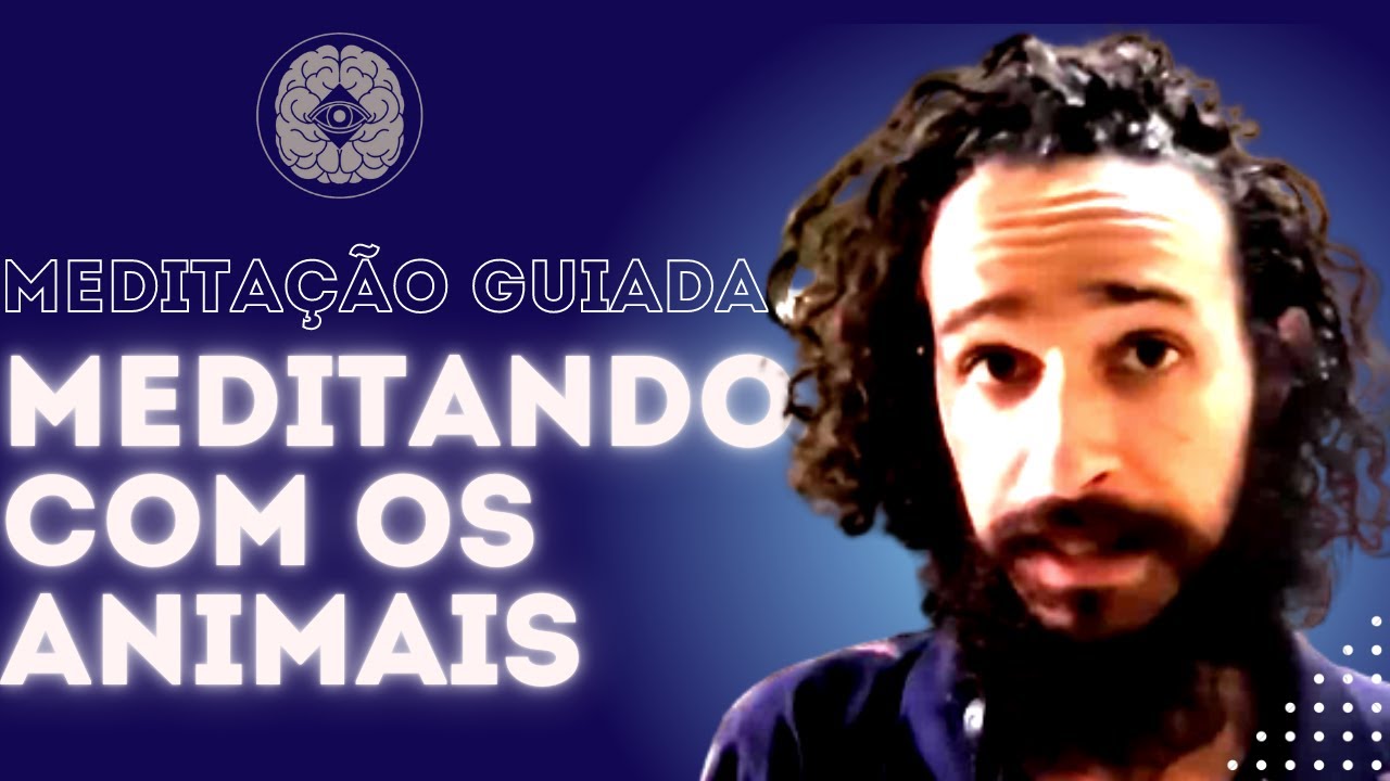 MEDITAÇÃO GUIADA - MEDITANDO COM OS ANIMAIS - YouTube