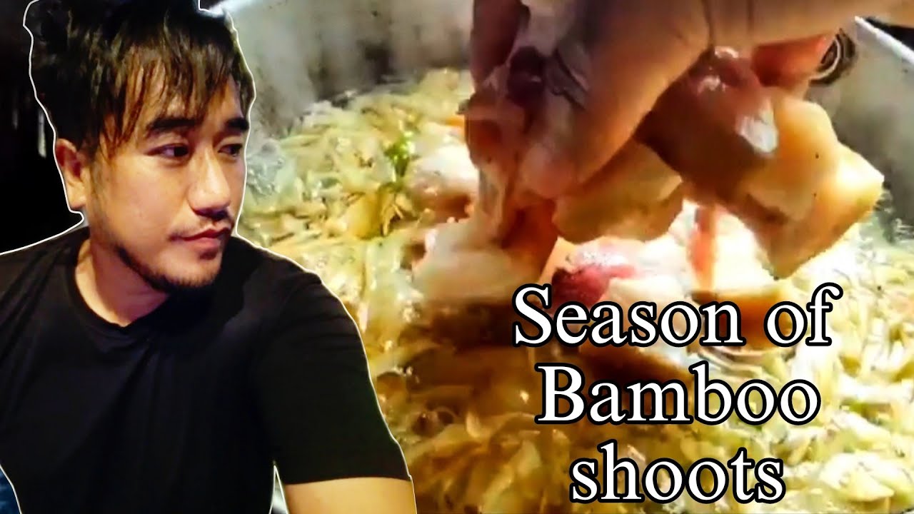 How do you Cook This Bamboo shoot ? - YouTube