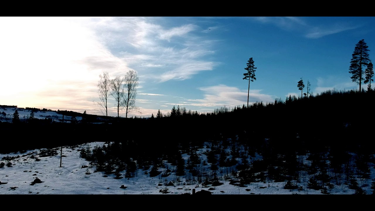spring in norwegian forest - YouTube