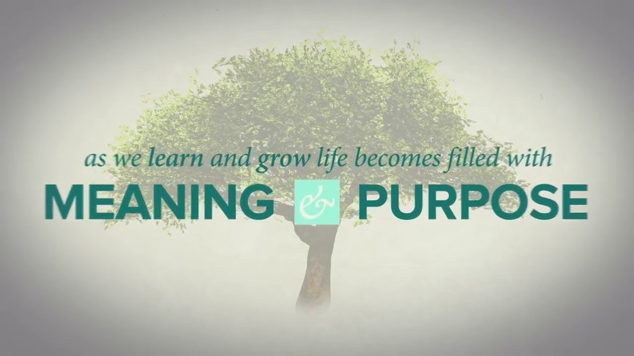 Seventh day Adventist Church - Understand the structure of this global ...