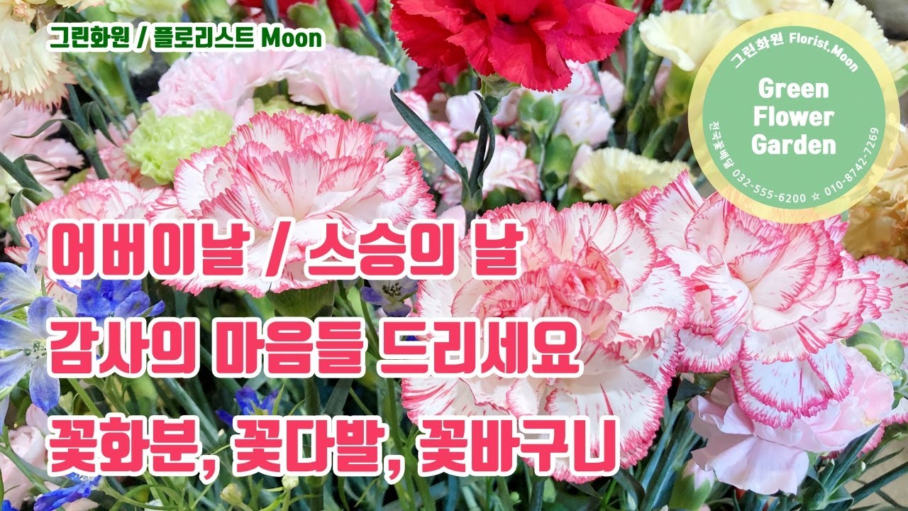 꽃집일상vlog 어버이날 스승의날 카네이션 꽃바구나 꽃화분 Youtube