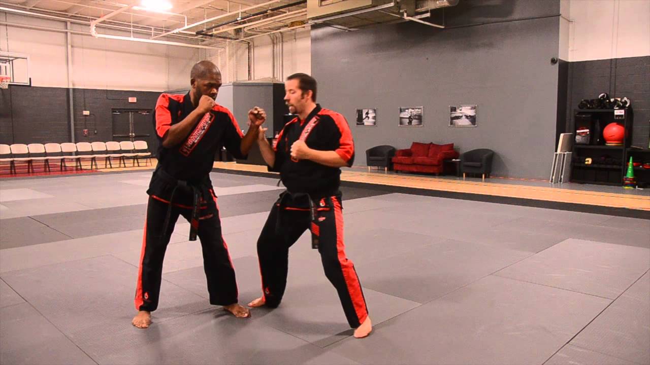 Technique of the Week Goju-Shorei Karate Purple #7 - YouTube