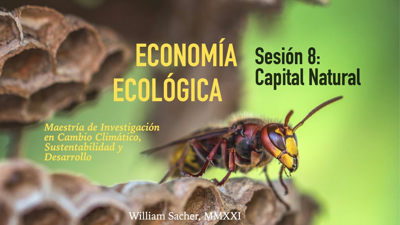 MICC21 Economía Ecológica. Sesión 8: Capital Natural - YouTube