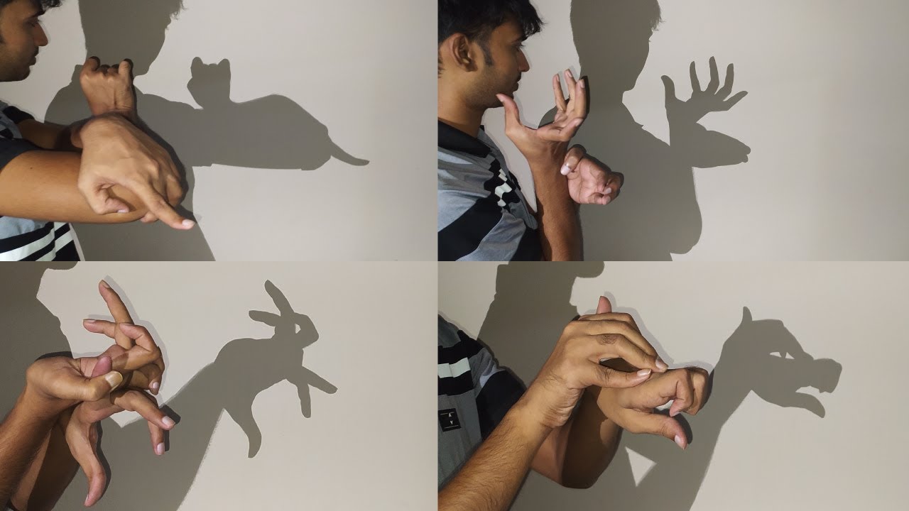 Hand Shadow Performance | Shadow Animals - YouTube
