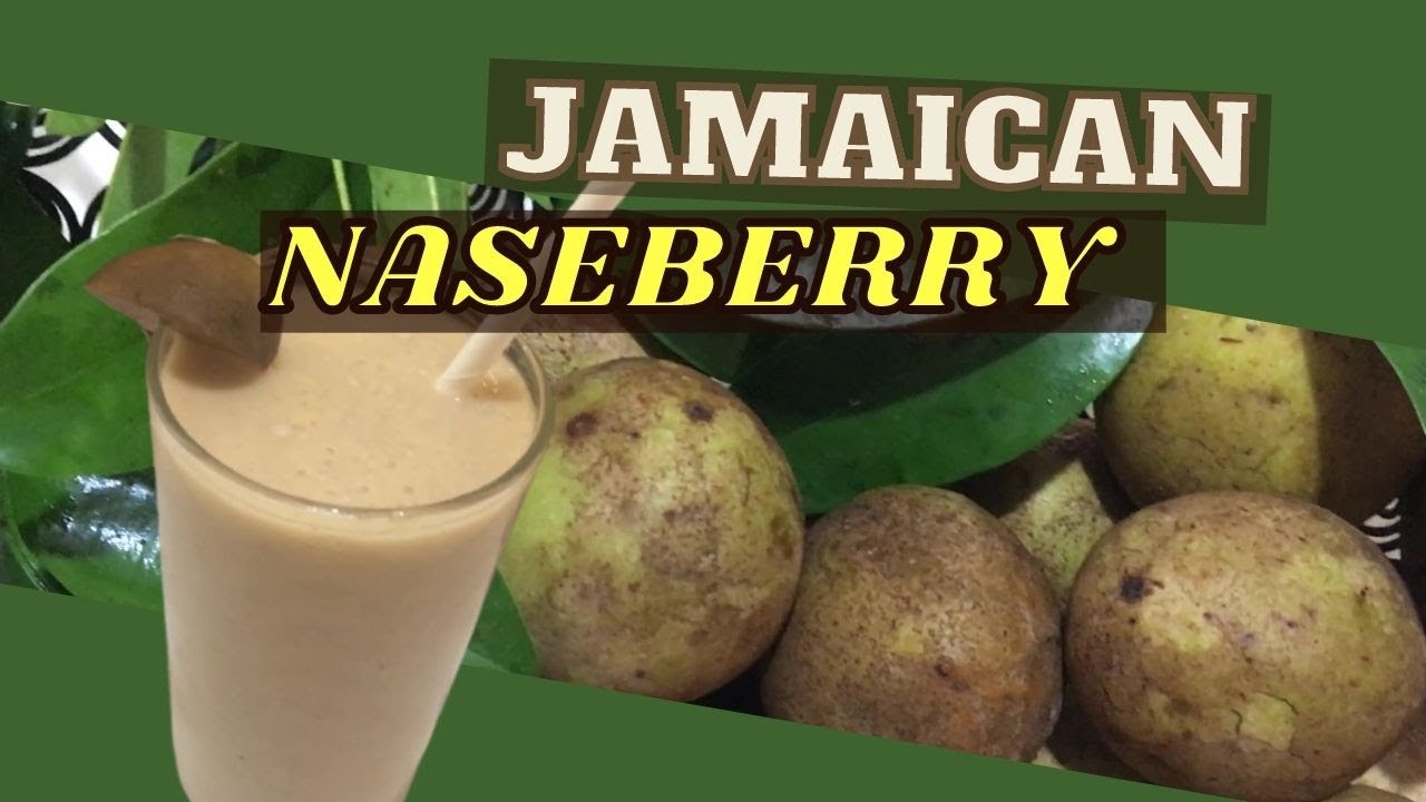 Jamaican Naseberry HARVEST/ Naseberry Smoothie RECIPE / HOW TO EAT ...
