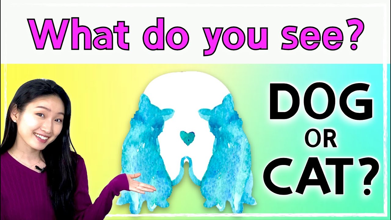 19 Optical Illusions to Test Your Brain! 👀🔍🧠| Your eyes are tricking ...