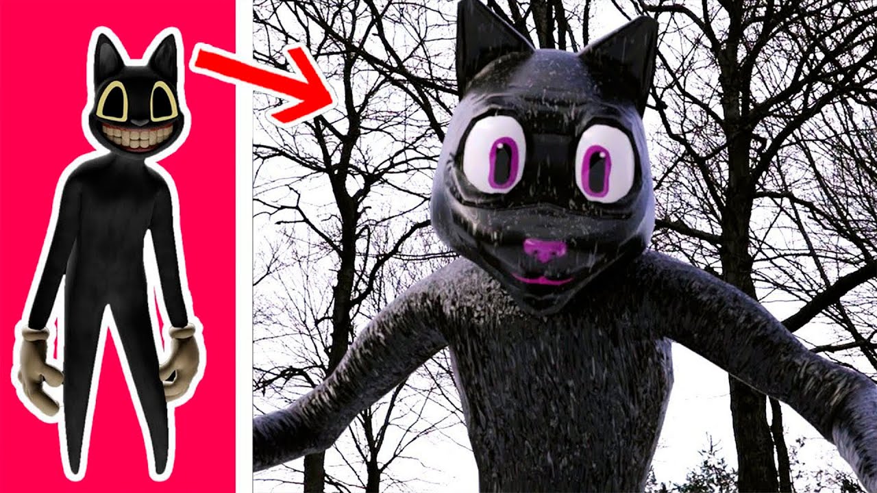 5 CARTOON CAT EXE Captados y Vistos en la Vida Real - YouTube