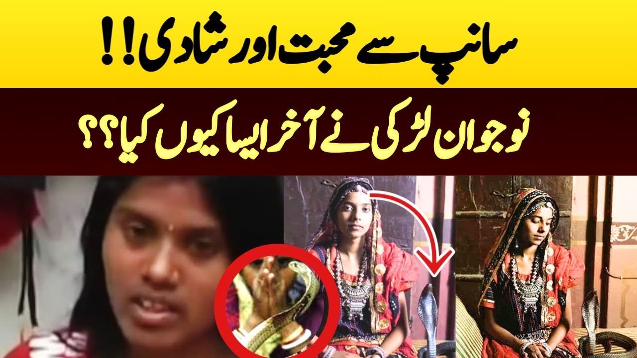 Larki ki saanp say muhabbat or shadi.. aakhir Kion?? - YouTube