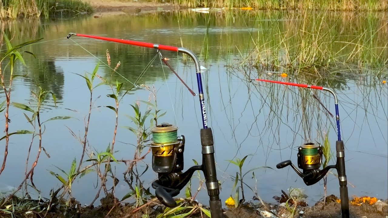 The Magic of Automatic Fishing Rods! 🎣 - YouTube