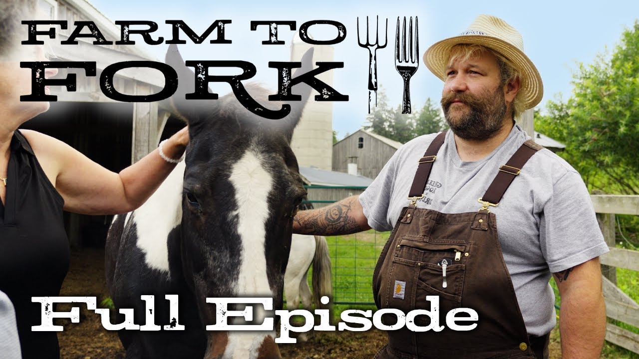 Church Hill Farm - Farm to Fork S2 E3 - YouTube