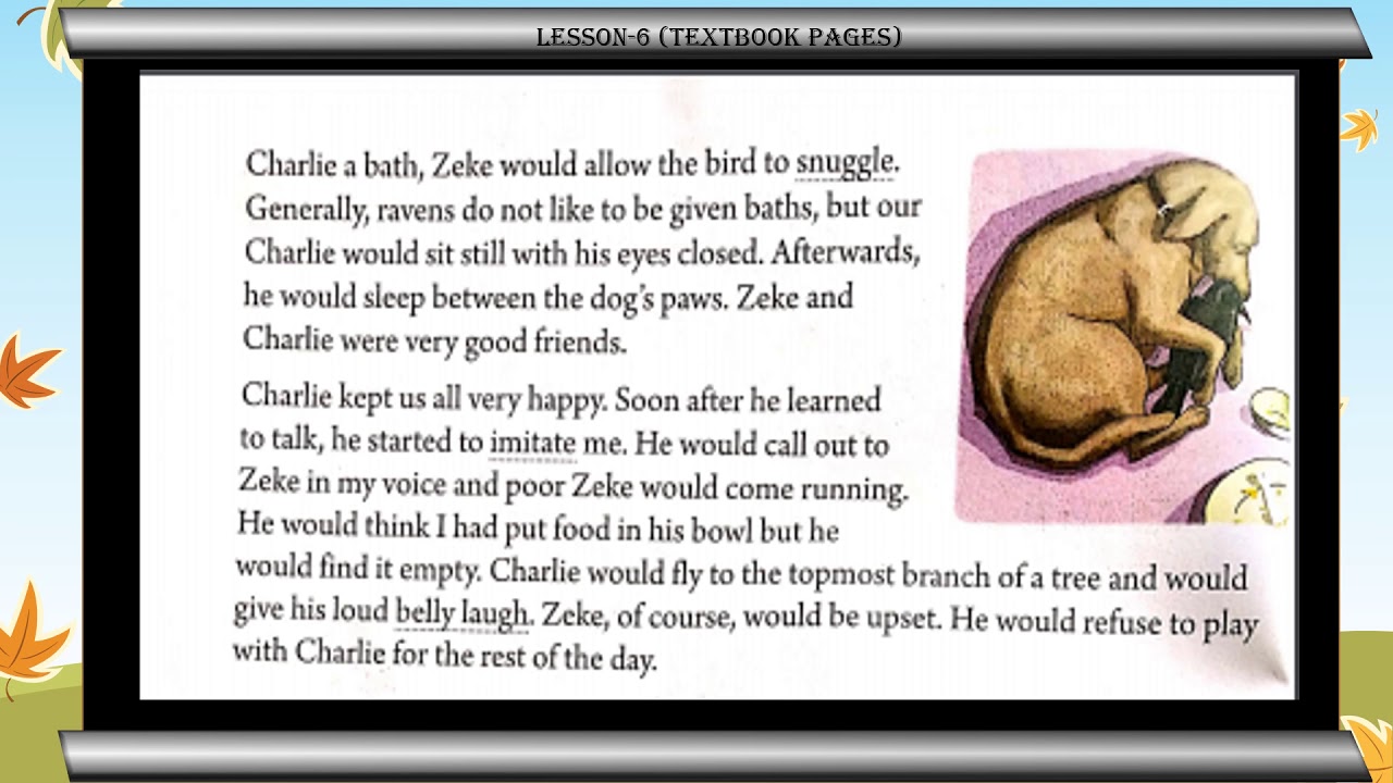 L-6 Charlie's Daily Dose of Sunshine, Class 5 - YouTube