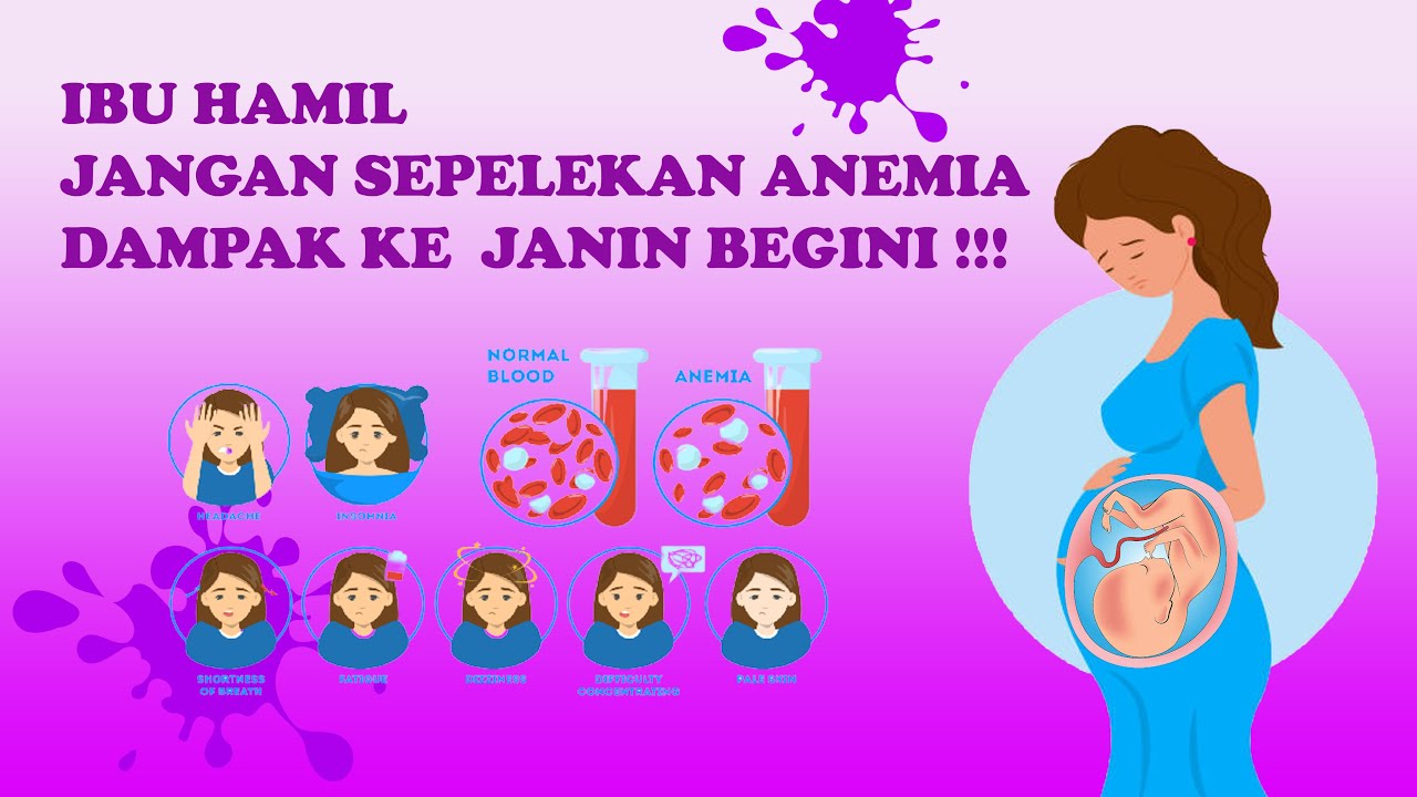 Dampak Anemia Bagi Ibu Hamil dan Janin - YouTube
