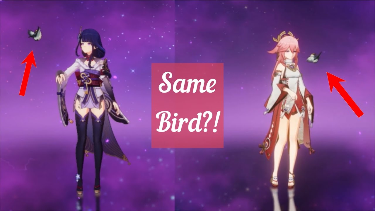 Yae Miko and Raiden Shogun Idle Animation Have The Same Bird? - YouTube