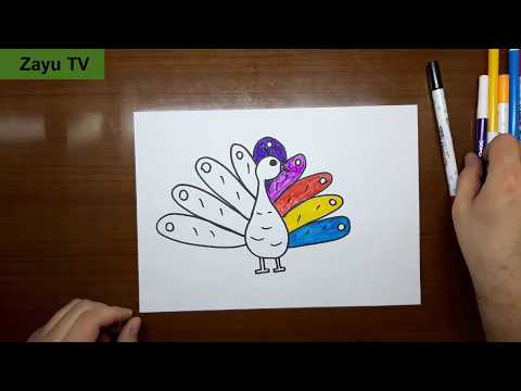 How to draw Peacock and Coloring Pages For Kids, Children, Babies . Sekil cekmek . Zayu TV