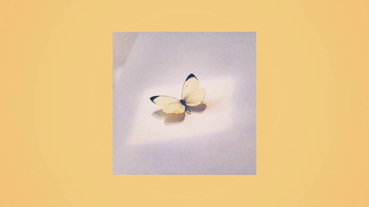 Butterfly - BTS (cover) - YouTube