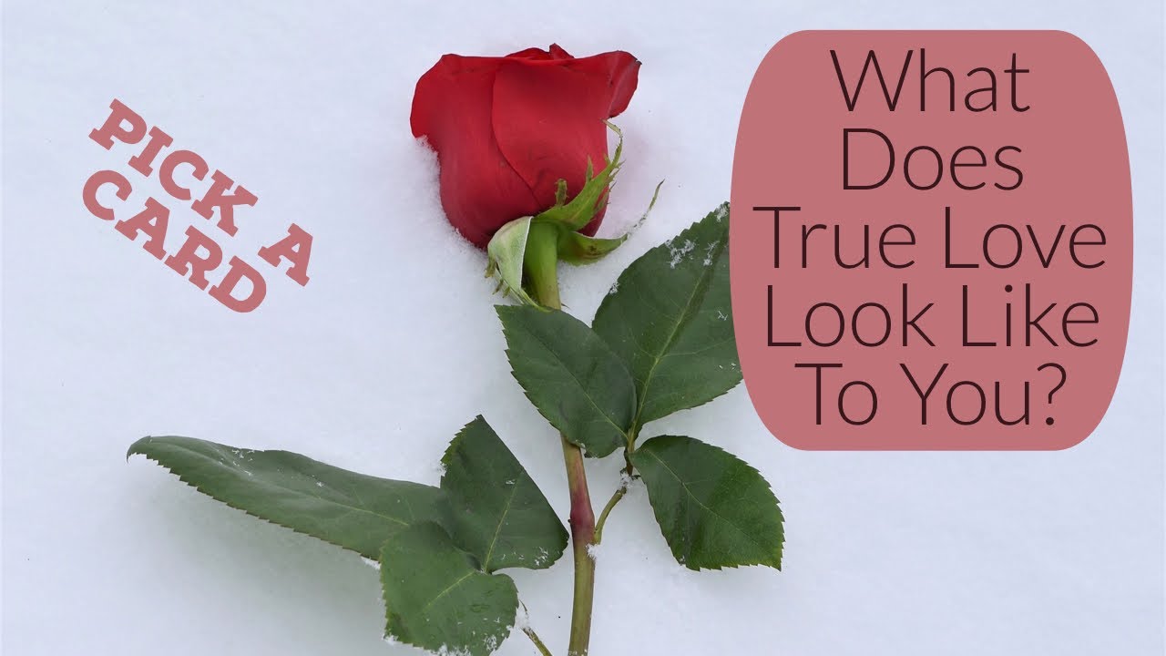 Pick a Card - What Does True Love Look Like To You? Your Path Ahead In ...