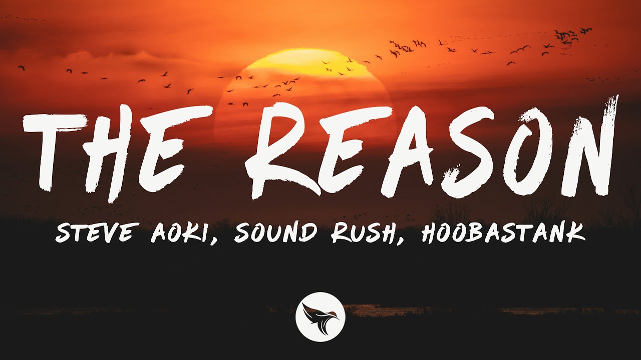 Steve Aoki, Sound Rush - The Reason (Lyrics) ft. Hoobastank - YouTube
