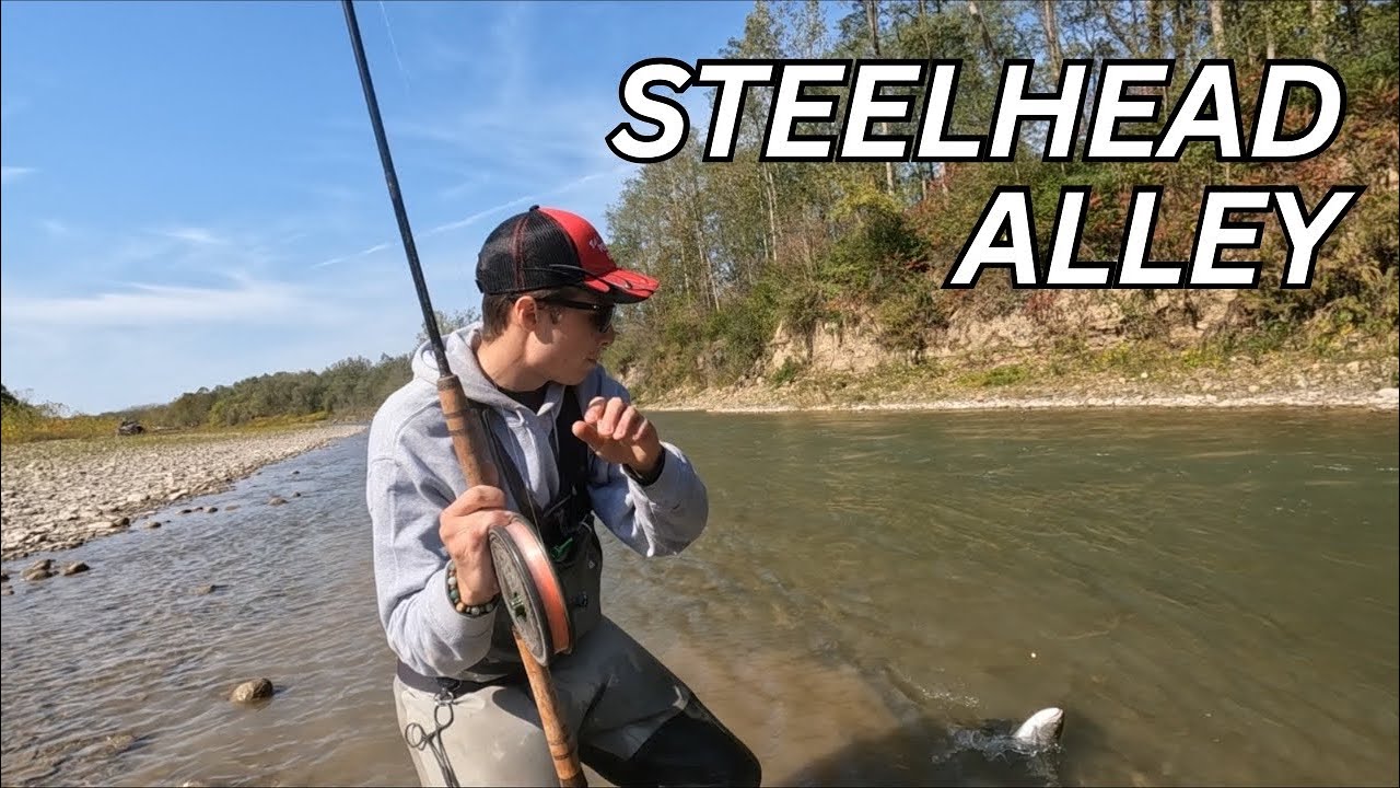 2024 Steelhead Run! Fish Everywhere. - YouTube