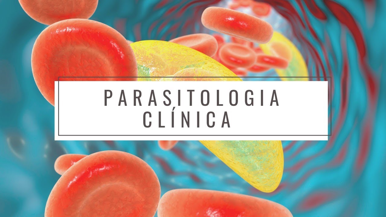 Parasitologia Clínica - Parasitos Intestinais - YouTube