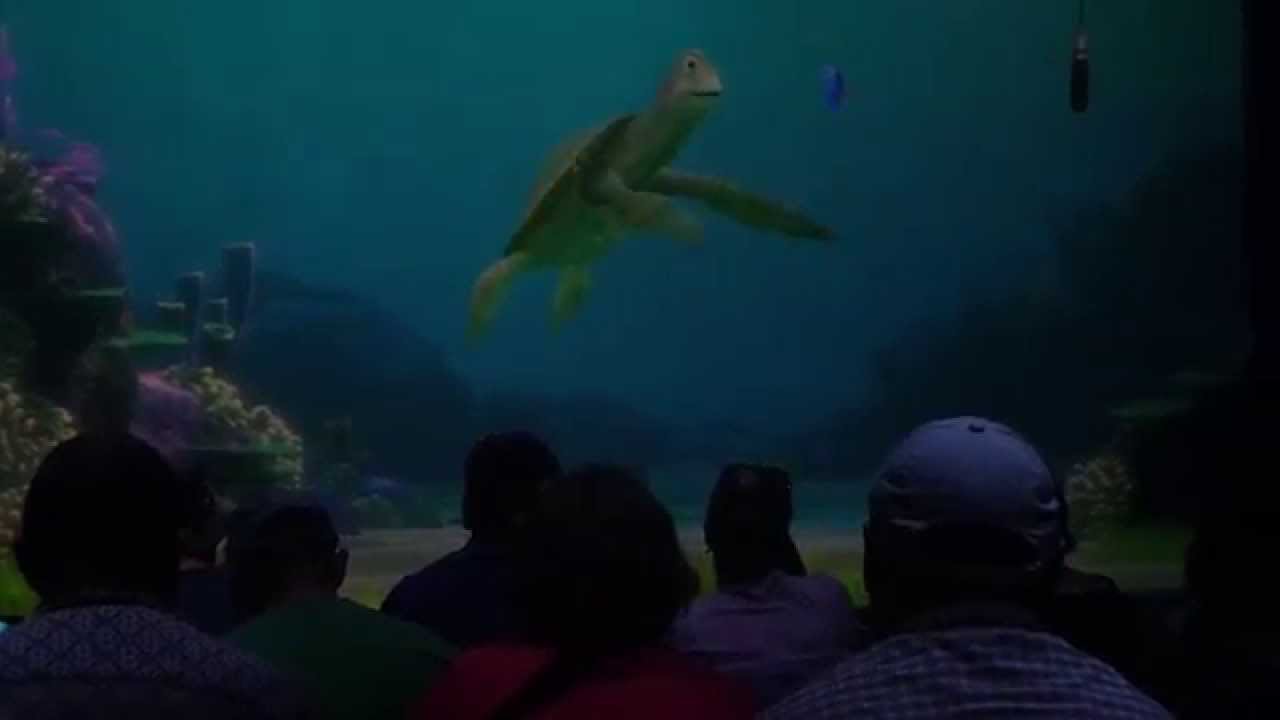 Turtle talk with crush at epcot walt disney world, orlando florida ...