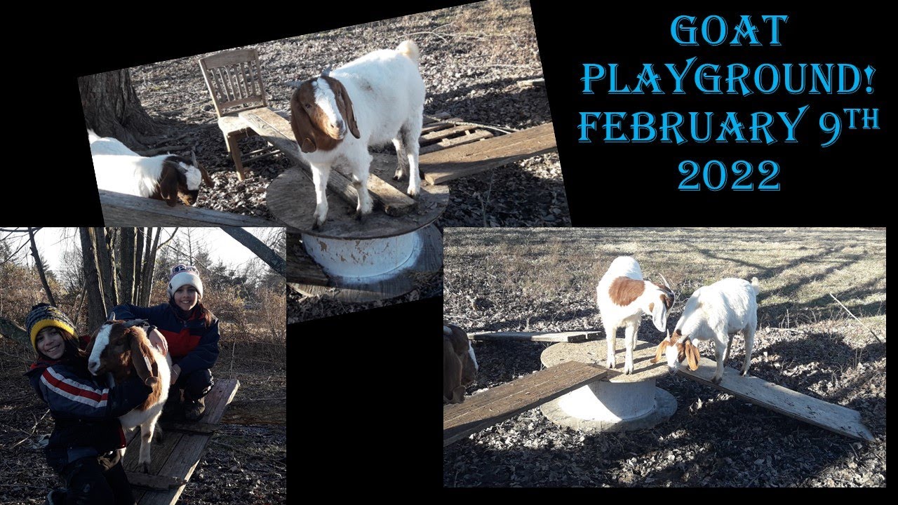 Our Goat Adventures: Goat Playground - YouTube