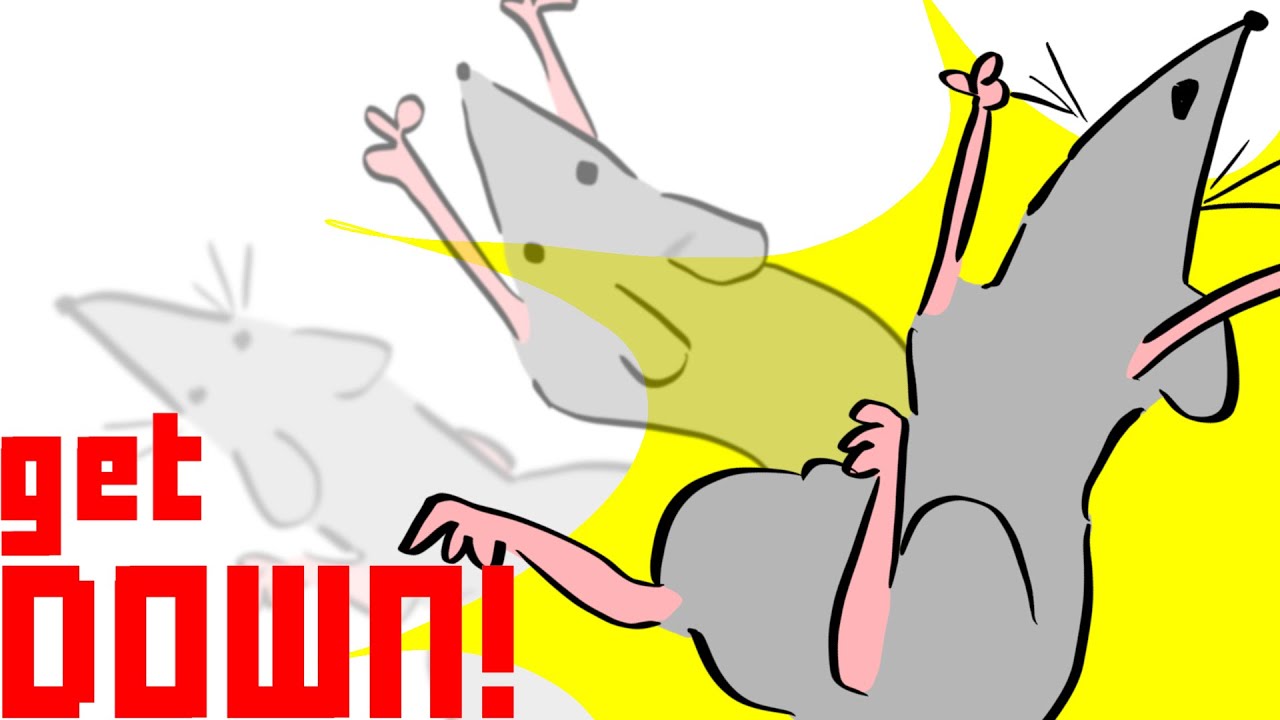 GET DOWN meme ( rat dance part 3 ) - YouTube