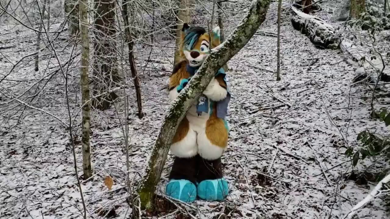 *FURRY SNOW DAY* - YouTube