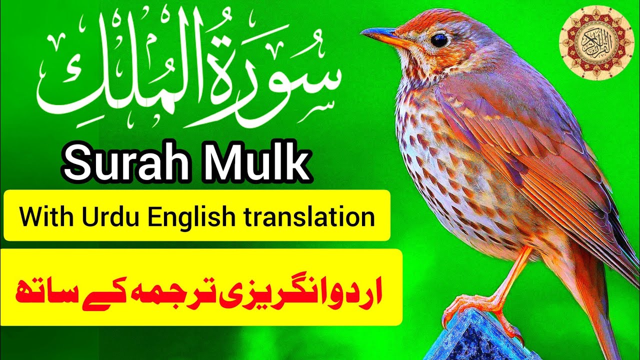 surah mulk surah al mulk quran tilawat new tilawat video 2024