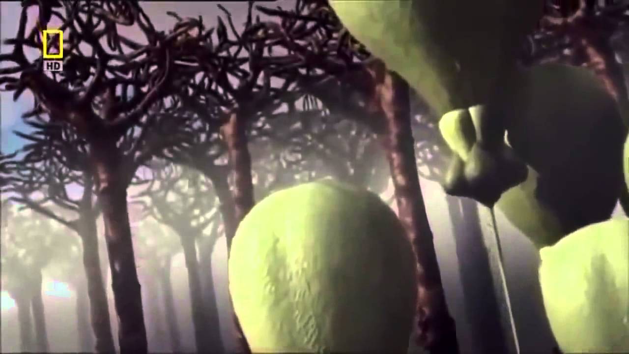 Alien Planets Like Earth 2014 Documentary - YouTube