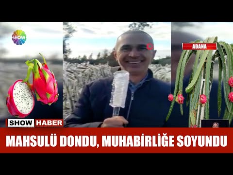 Mahsulü dondu, muhabirliğe soyundu