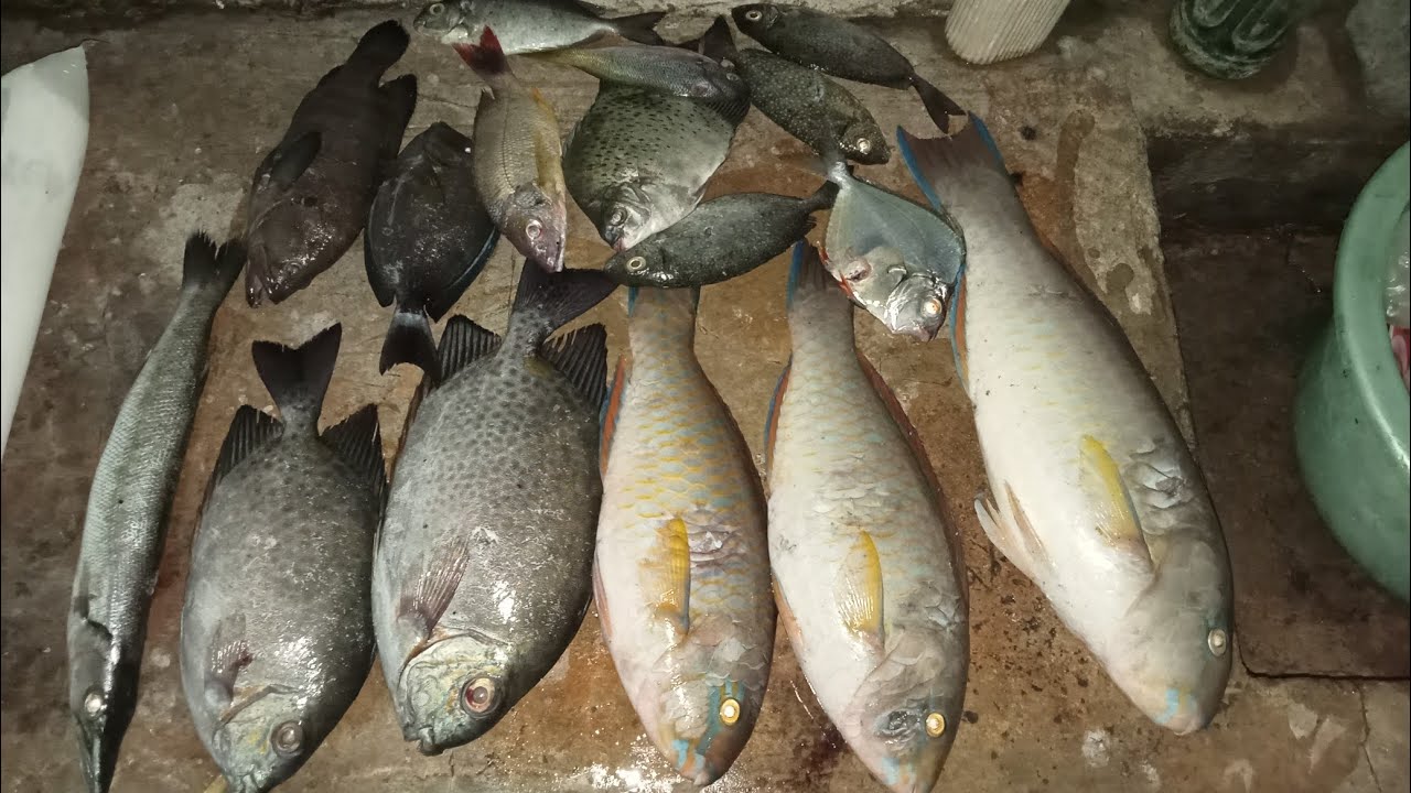 catch and cook Delicious grilled fish Filipino style| Filipino recipe ...