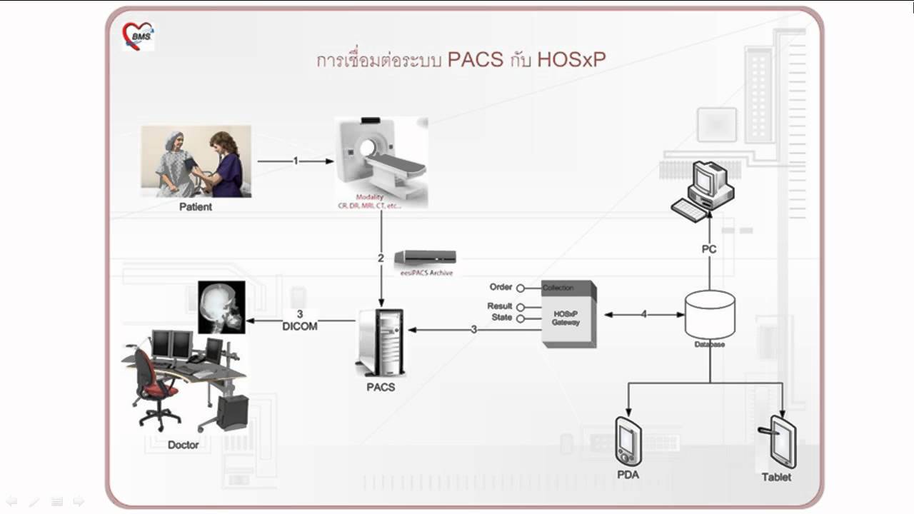 BMS PACs Link - YouTube