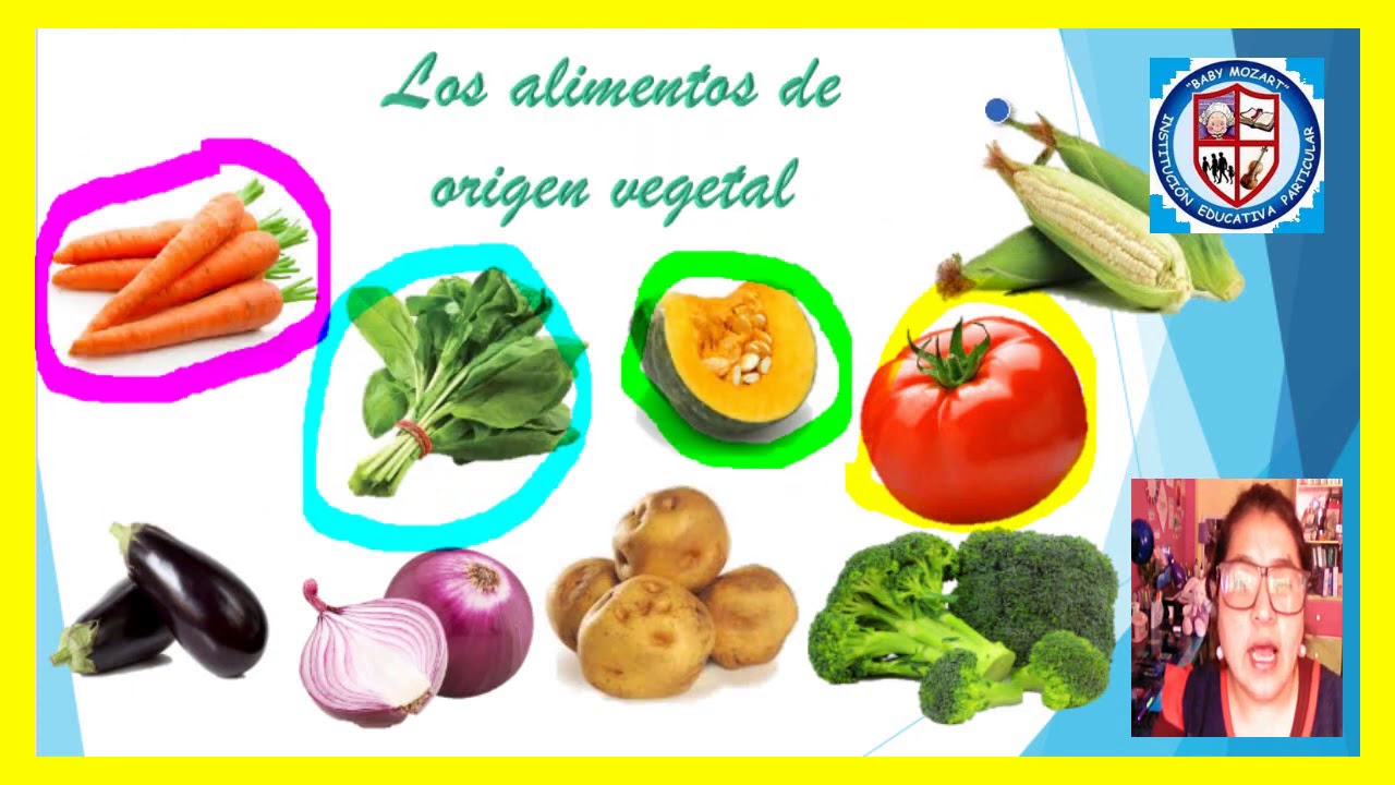 Alimentos de origen vegetal y mineral, Clases virtuales nivel inicial ...