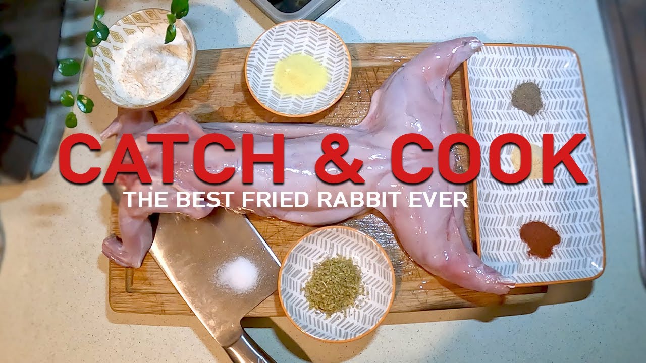 Catch & Cook - Frying Rabbit! (BETTER THAN KFC!) #food #rabbit - YouTube