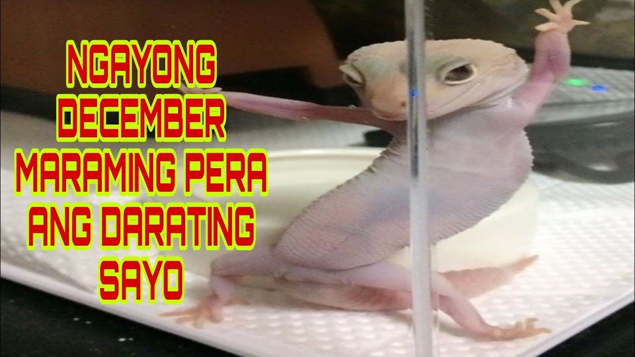 NGAYONG DECEMBER MARAMING PERA ANG DARATING SAYO-APPLE PAGUIO7 - YouTube