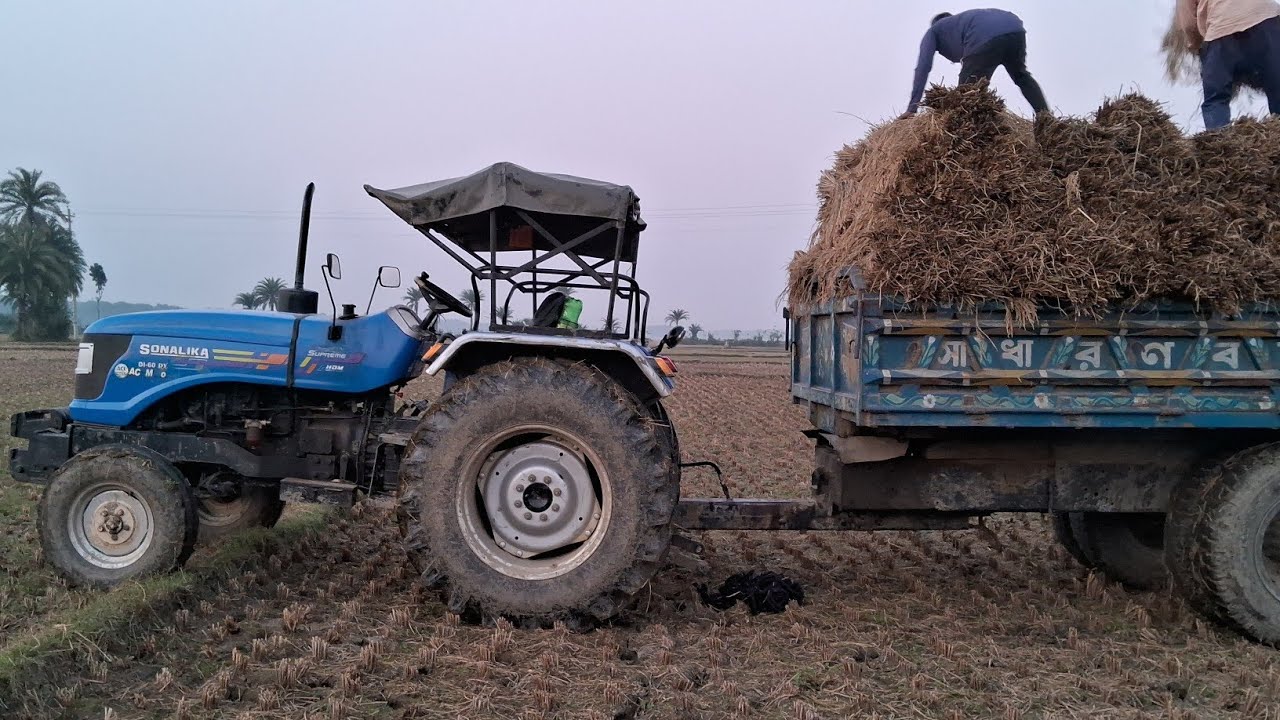 How does the tractor carry paddy?//কিভাবে ট্রাক্টরে ধান বহন করে ...