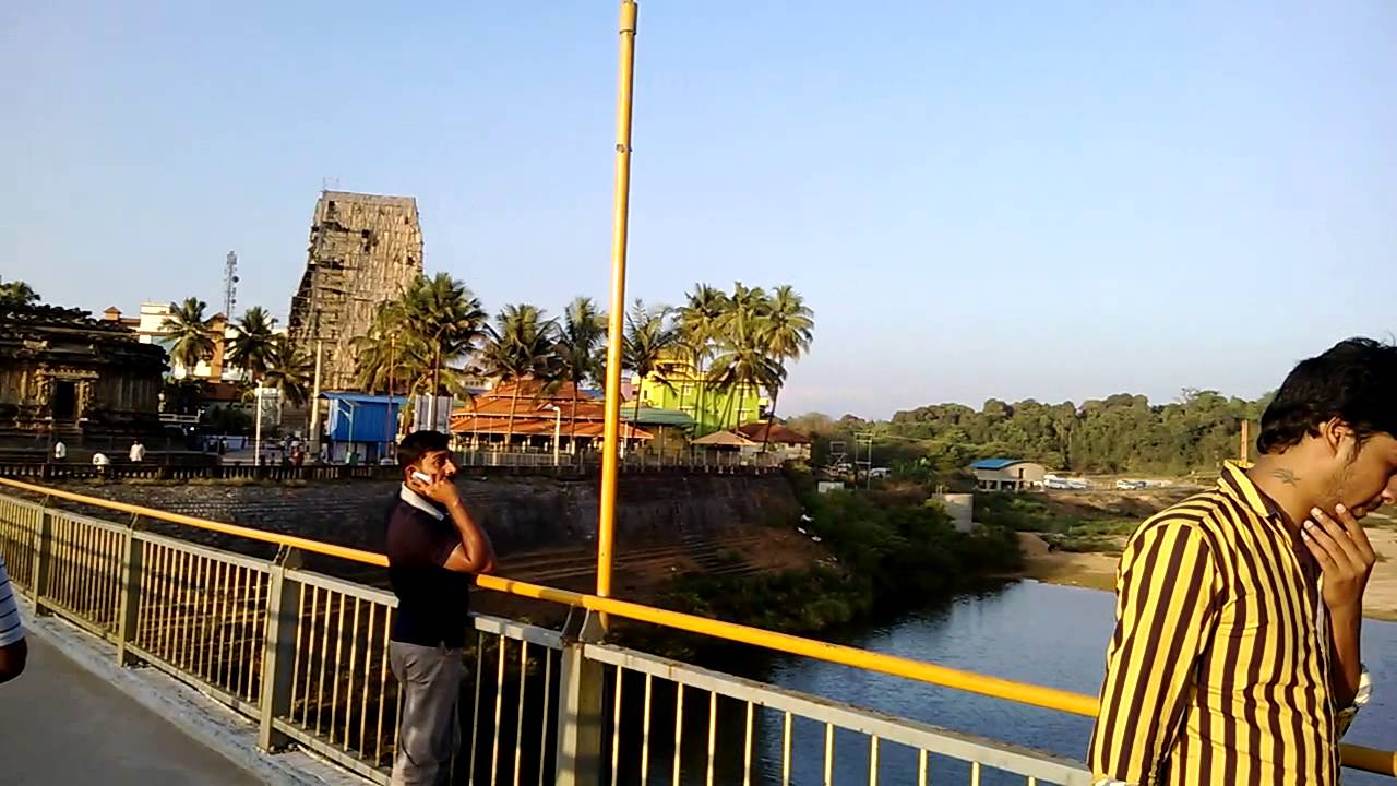 Catfish in Tunga River - Sringeri Sharada Peetham - YouTube