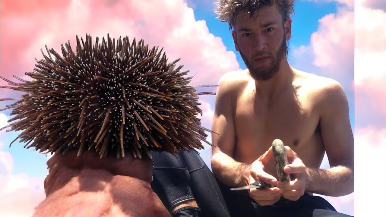 Diving For Sea Urchin (Kina) Tasmania, Australia. - YouTube